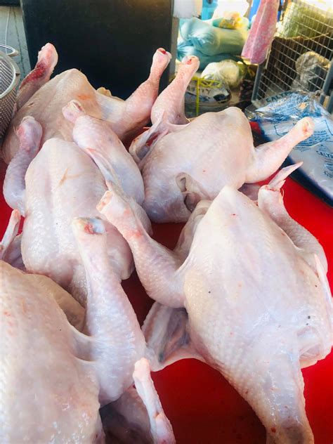 Magkano Ang 1 Kilo Ng Manok