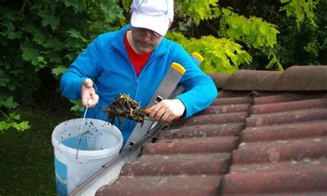 The Importance Of Regular Roof Maintenance Tips For Homeowners