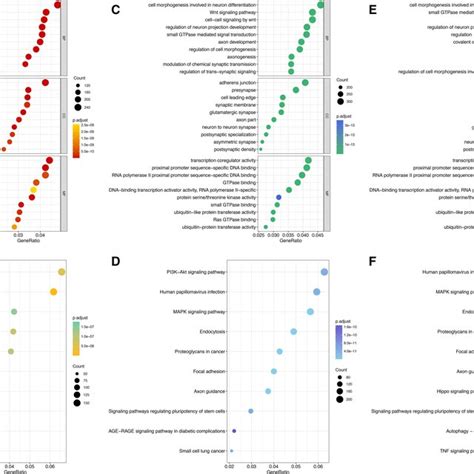 The Venn Diagram Of Distribution Of Mirnas In Included Panels A The