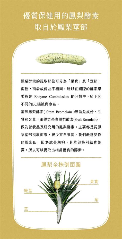 弘茂生技 鳳梨精華素膠囊鳳梨酵素 90顆 Brozyme 蝦皮購物