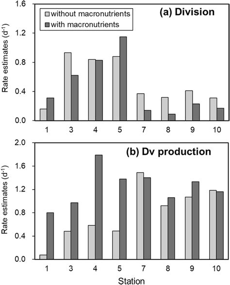 Prochlorococcus Cell Division A And Divinyl Chlorophyll A Dv Download Scientific Diagram