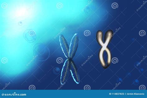 Dnk Cartoons Illustrations And Vector Stock Images 638 Pictures To