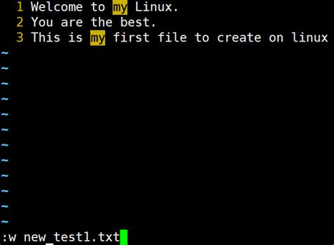 linux中一些对于目录及文件的操作 创建目录test1和普通文件test2 txt 并显示文件信息 csdn博客