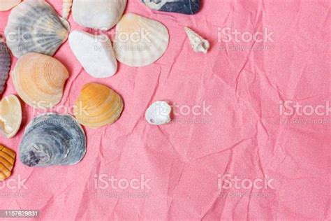 분홍색 구겨진 종이에 조개 맨 위 보기 텍스트를 위한 공간 개념에 대한 스톡 사진 및 기타 이미지 개념 개념과 주제 공란