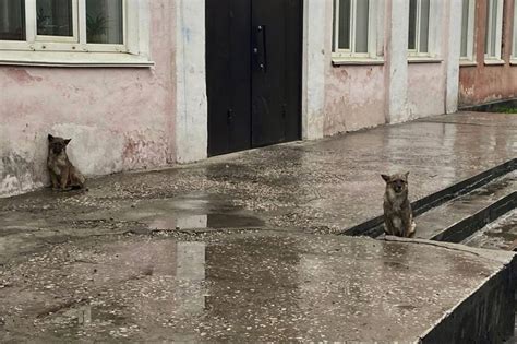 Пин на доске моё