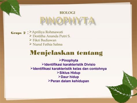 Pinophyta Ppt