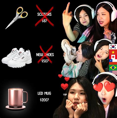 Hachu Shopping Logic Rhachubby