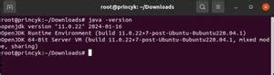 How To Install Flink GeeksforGeeks