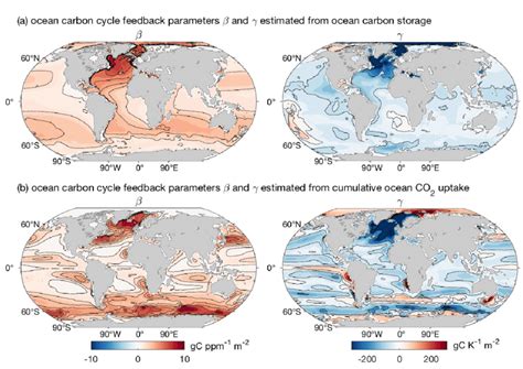 Geographical Distribution Of The Cmip6 Inter Model Mean Carbon Cycle