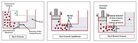 Reverse Osmosis Technology What Is It A Technical Explanation