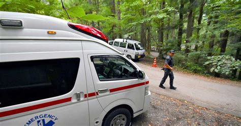 山梨で不明女児捜索のボランティア 熊2頭に遭遇し重傷 産経ニュース