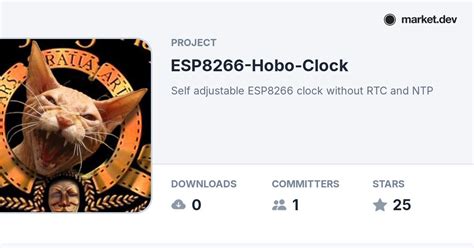 Esp Hobo Clock Ecosystem Directory Market Dev