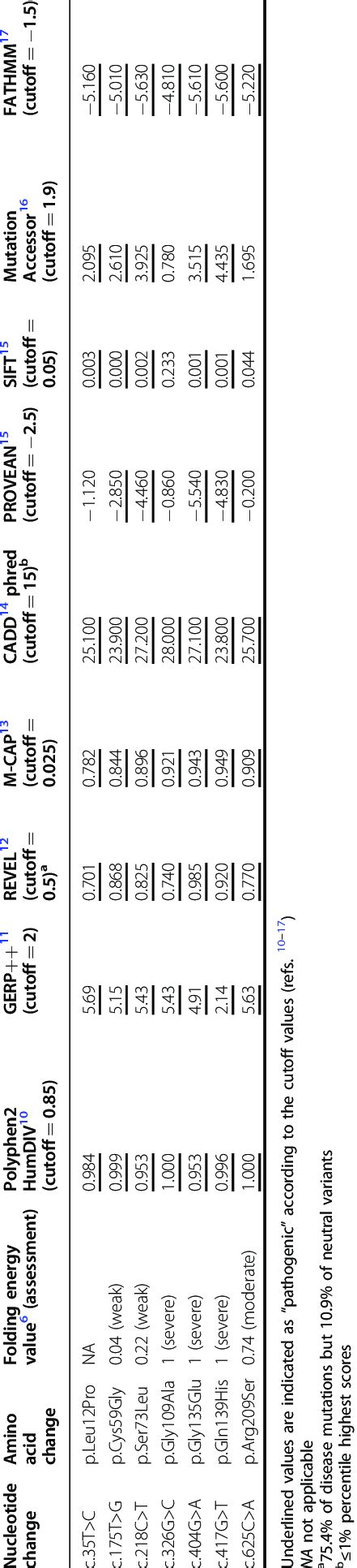 Pathogenicity Assessment Of The Novel Missense Mutations In The Rs1