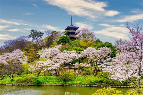 Best Photo Spots In Yokohama