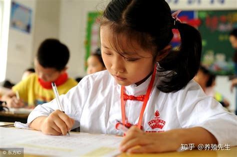 郑州市惠济区的重点小学，惠济区比较好的小学有哪些？ 知乎