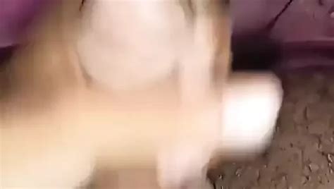 Bindasbanda5 Gay Porn Videos Sex Model Nudes Xhamster