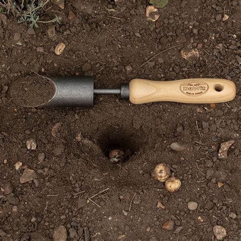 Buy Dewit Bulb Planter Crocus Snowdrops Delivery By Crocus