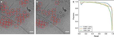 training of cryolo on klh a one example of a particle picking result