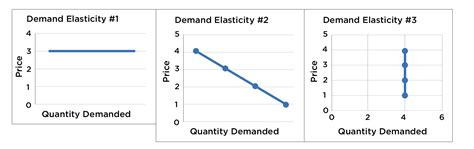 Solved Define The Elasticity Of Demandelasticity Of Demand