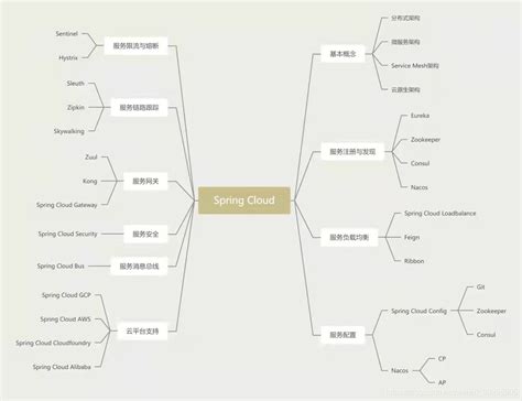 Spring Cloud 入门 概述 Csdn博客