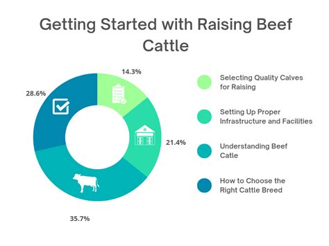 Raising Beef Cattle A Comprehensive Guide For Modern Farmers