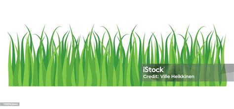 벡터 녹색 잔디 잔디 질감 그림 자연 유기 바이오 에코 라벨 및 흰색 배경에 모양 접지 토지 패턴입니다 계절에 대한 스톡 벡터