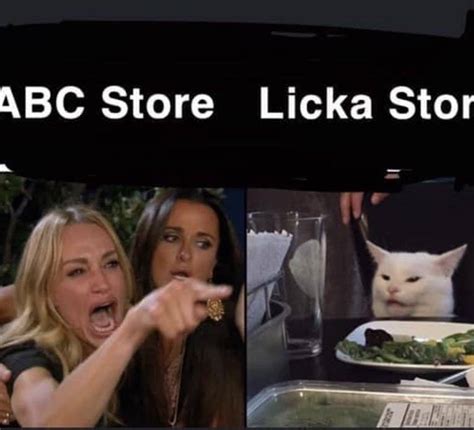 Woman Yelling At Cat Meme Generator