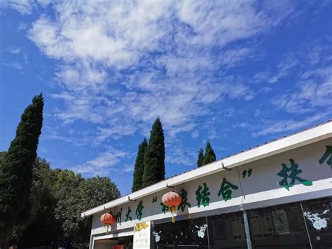 动静影像丨是谁打翻了调色盘贵大校园居然这么美