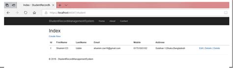 CRUD Operations Using ASP NET Core And ADO NET
