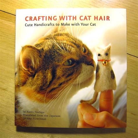 Review Crafting With Cat Hair For Craft Test Dummies