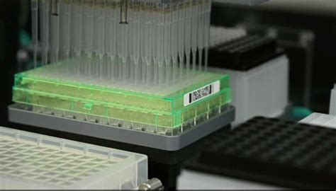 Solutions For Safe Quality Cannabis Medicinal Genomics