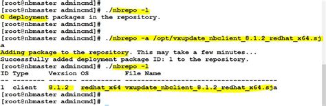 Remote Infrastructure Management Veritas NetBackup Deployment Management With VxUpdate