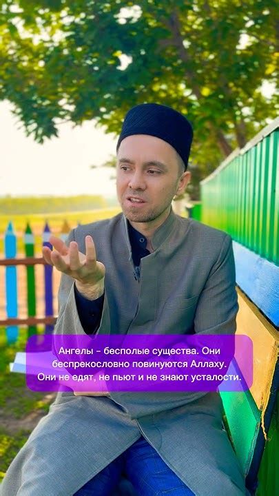 Они беспрекословно повинуются Аллаху - YouTube