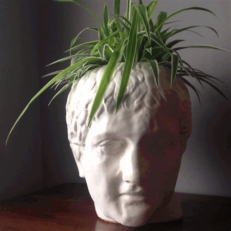 Electroqueer Electro Queer Tumblr Blog Tumlook