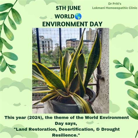 Dr Priti Dubey On Linkedin 5th June World Environment Day