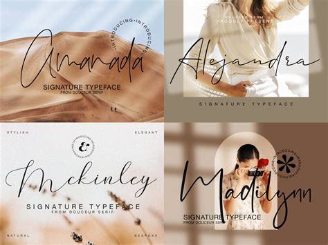 Signature Font Bundle Calligraphy Font Logo Fonts Wedding Fonts