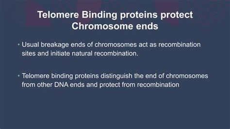 Telomere Replicationpptx