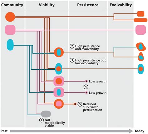 Metabolism Is Not The Limiting Factor In Prokaryotic Endosymbiosis