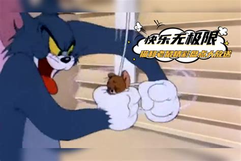 猫和老鼠：盘点猫和老鼠经典名场面，不愧是经典，值得反复观看经典场面盘点
