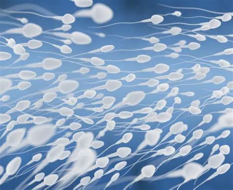 Das Geheimnis Ihrer Haut Ist Sperma Telegraph