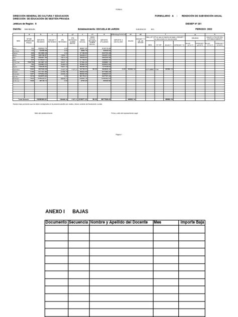 Rsa Form A Y Anexos 1942 Enviados 2022 Pdf