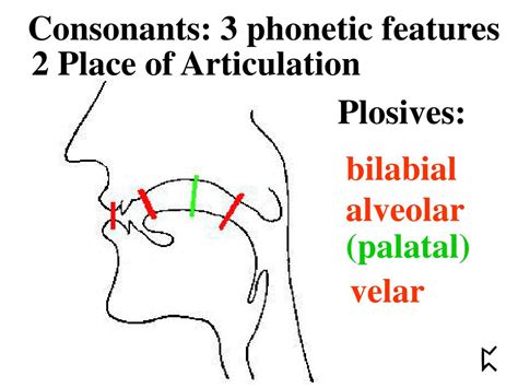 Ppt Recap Vowels And Consonants Powerpoint Presentation Free Download Id3211204