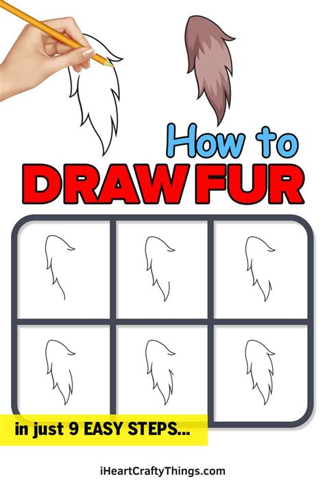 How To Draw Fur In Just Easy Steps