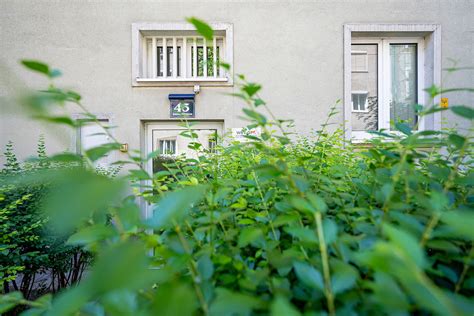 Leistbare Wohnungen Am Brunnenmarkt Wbv Gpa