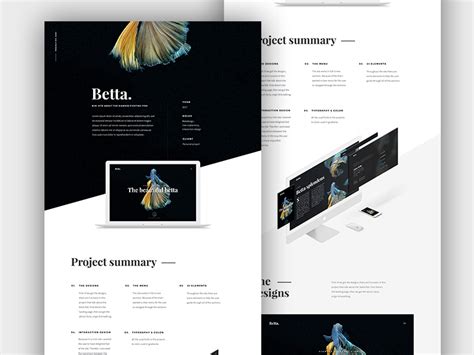 Behance Project By Gil On Dribbble
