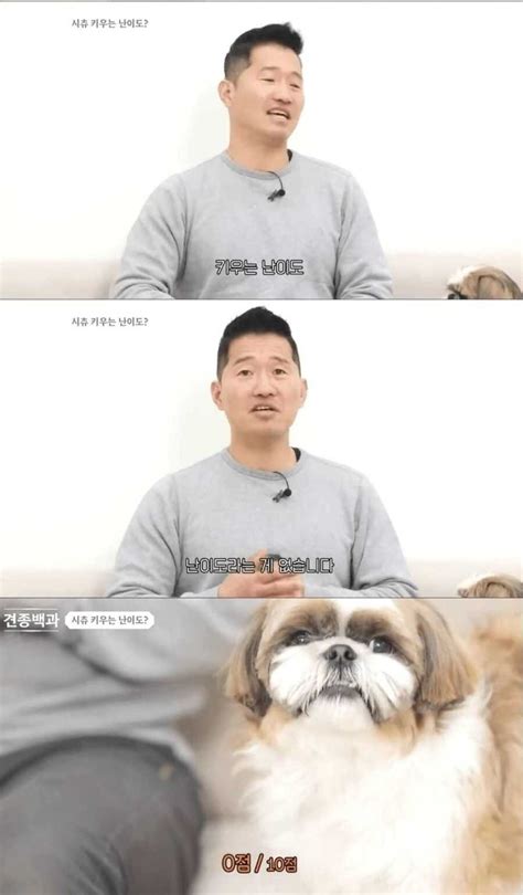 세상 이야기 강형욱피셜 키우는 난이도 최하급의 강아지