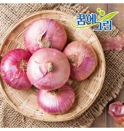 2019 무안 햇 적색양파150g 내외 10kg국내산 티몬
