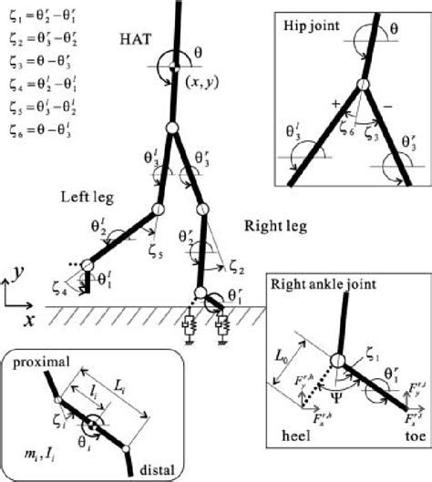 The Rigid Seven Link Model See Text For Details Download Scientific Diagram