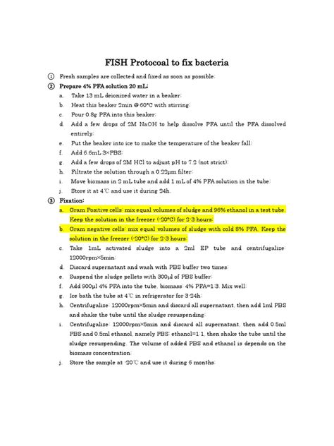 A Detailed Protocol For Fixing And Hybridizing Bacterial Samples To