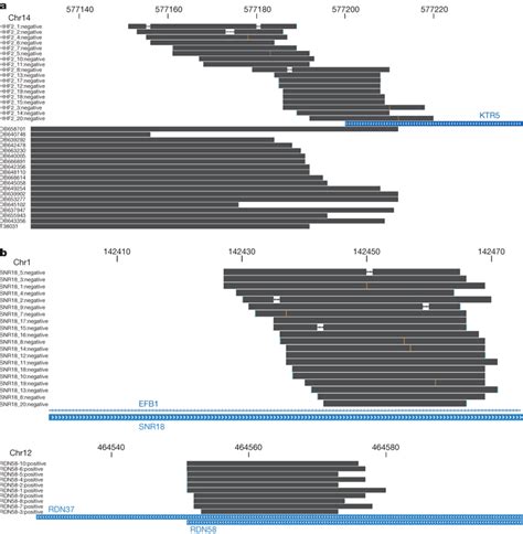 S Cerevisiae Polya Rna Drs Suggests Overlapping Transcription Units
